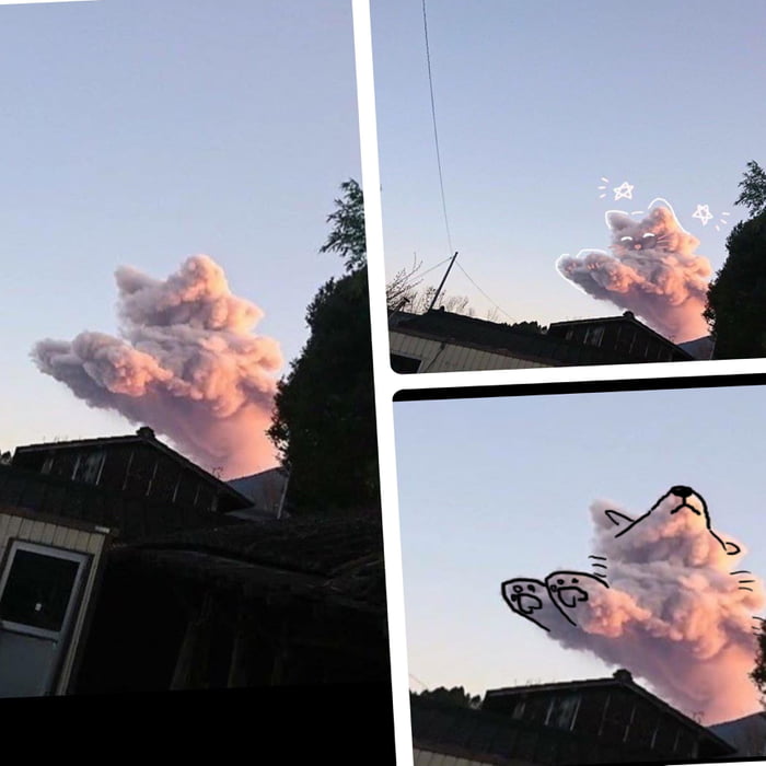 This cloud looks like a cat, and a dog. - 9GAG