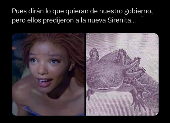 Si, si, es robado. Igual que ese billete. - 9GAG