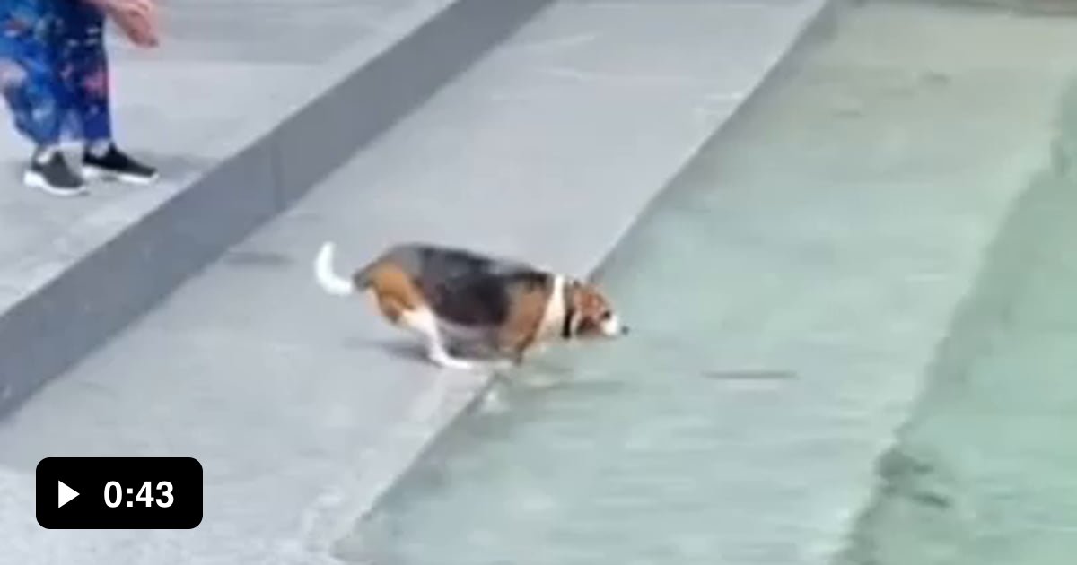 Treacherous steps - 9GAG