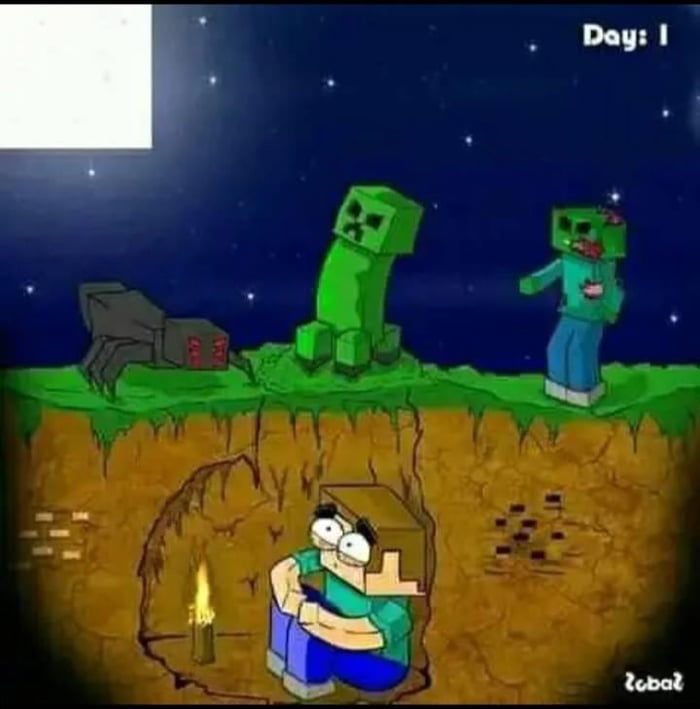 Day 1 spendings night in minecraft - 9GAG