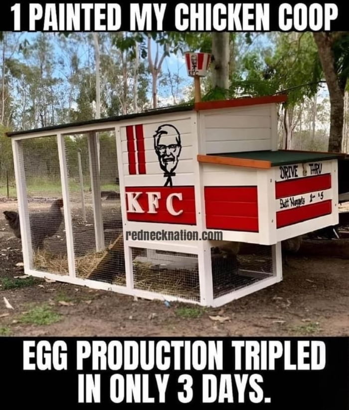 Plop plop ladies - 9GAG