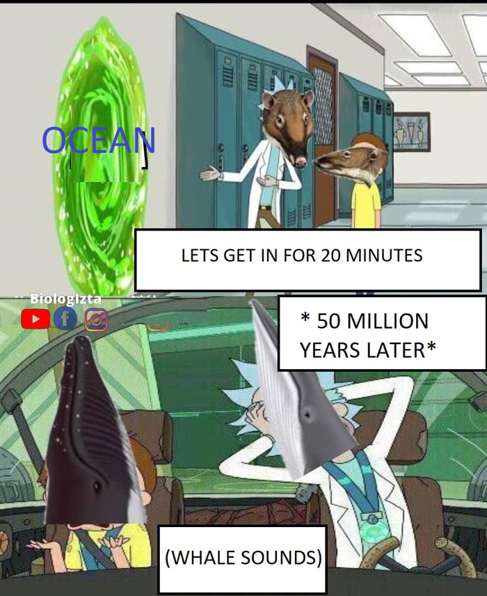 DO THE EVOLUTION - 9GAG