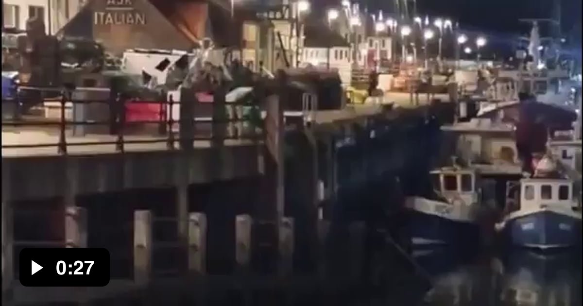 First time ever a Walrus shows up on local beach. The walrus then puts ...