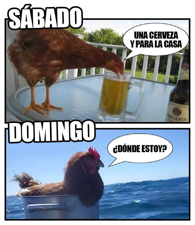 Título mamalón... - 9GAG