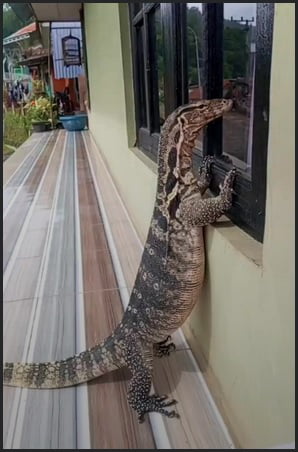 Da hell they doin over there? - 9GAG