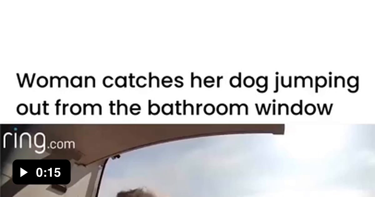 Catch me if you can - 9GAG