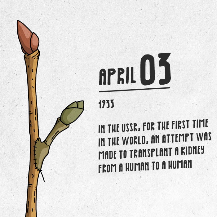 Calendar "Holiday Every Day" April 03 - 9GAG