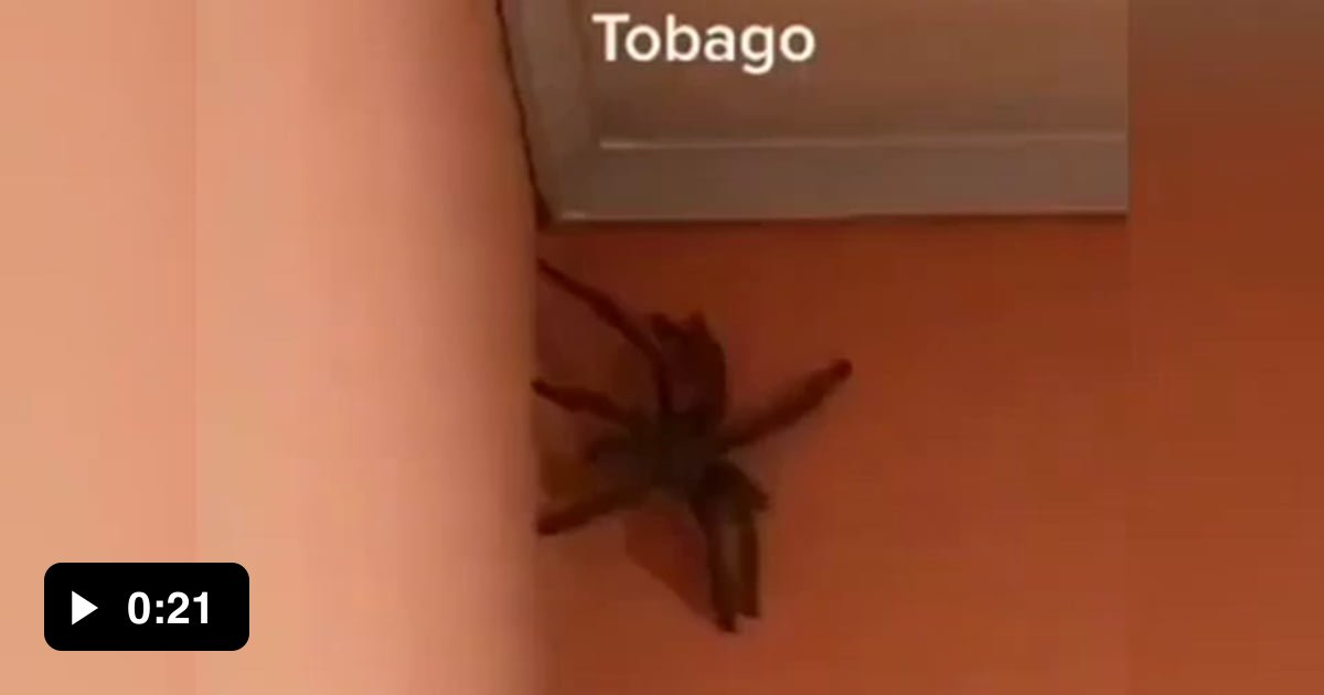 Hanz I think we need a bigger flamethrower - 9GAG