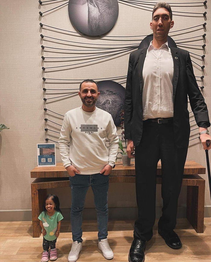 Tallest living human (251cm) vs shortest living adult human (62cm). And ...