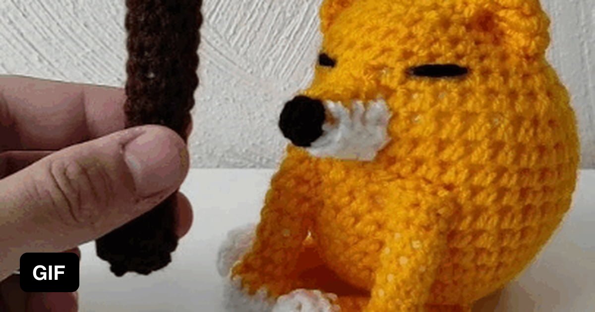 Bonk Doge gets bonked - 9GAG