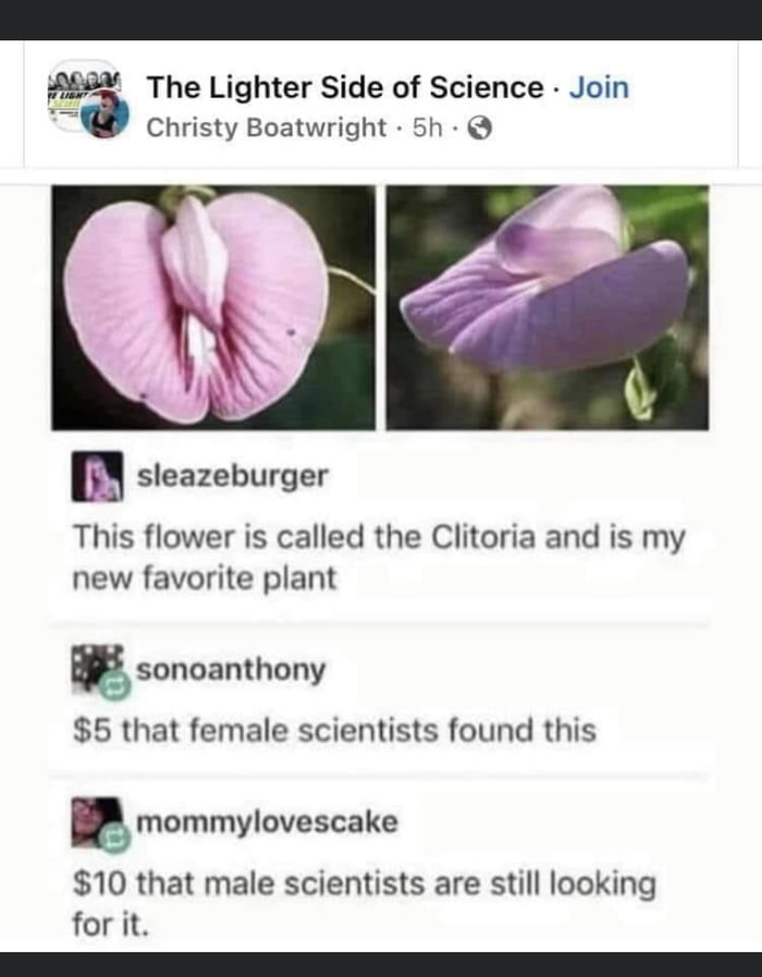 Stop and smell the…. - 9GAG