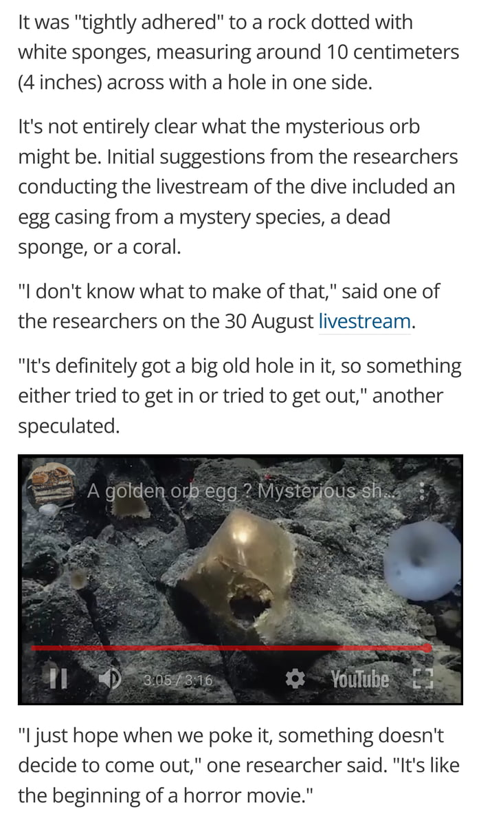 It looks fake news to me... - 9GAG