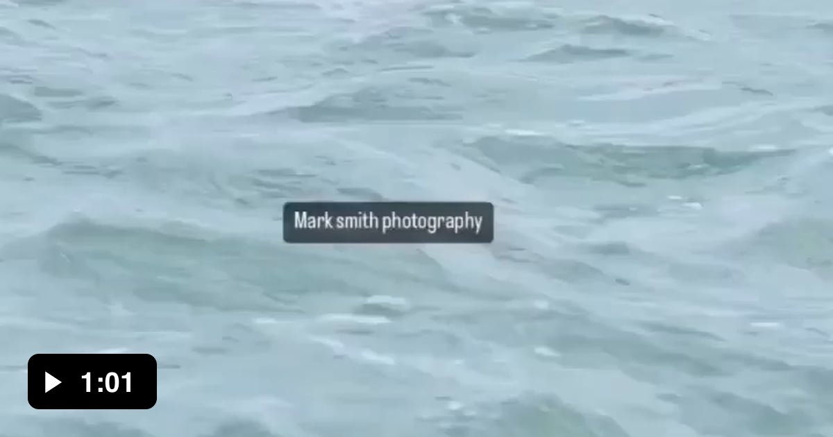 Power and precision - 9GAG