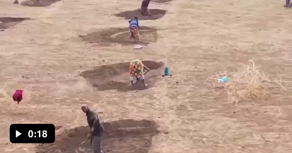 In the West Sahel, farmers recover degraded land & prevent ...