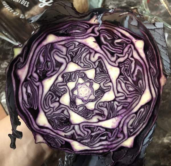 The way the pattern in this head of cabbage spirals out - 9GAG