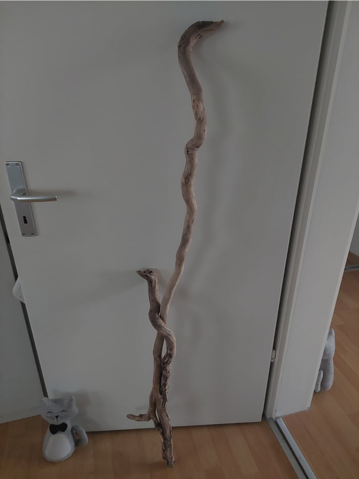 Behold My Stick 9gag