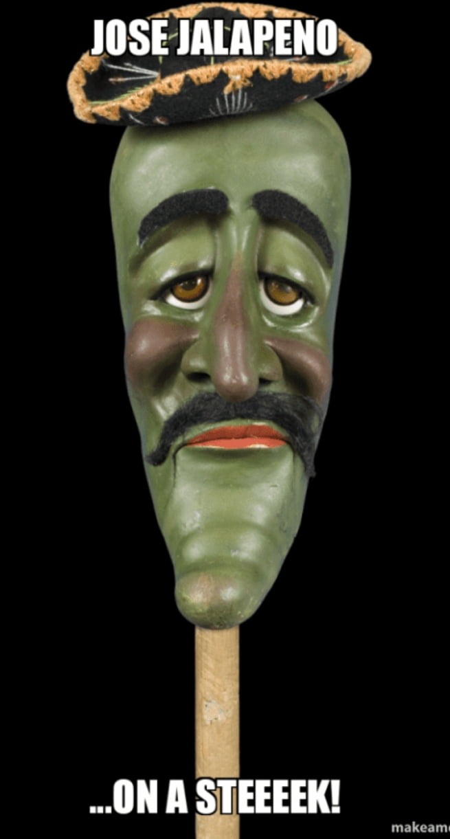 Would you like to see my stick? - 9GAG