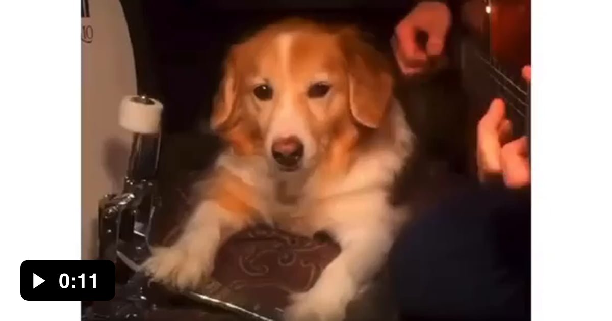 And that’s the complete loop - 9GAG