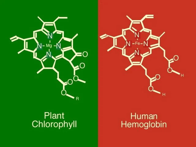 Plant Blood Vs. Human Blood - 9GAG