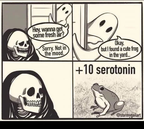 A day late but you can still find frogs around. - 9GAG