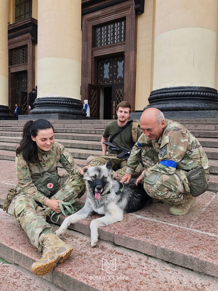 This is Gerda, a dog that came to one of the units of the Armed Forces ...