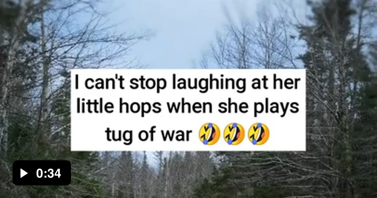 Funny Tug Of War 9GAG funny-tug-of-war-9gag