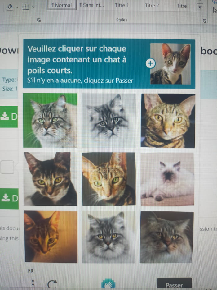 Captcha WTF - "Click on each image containing a short haired cat" - 9GAG