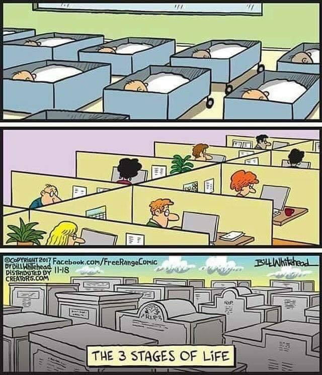 Born to work till you die… - 9GAG