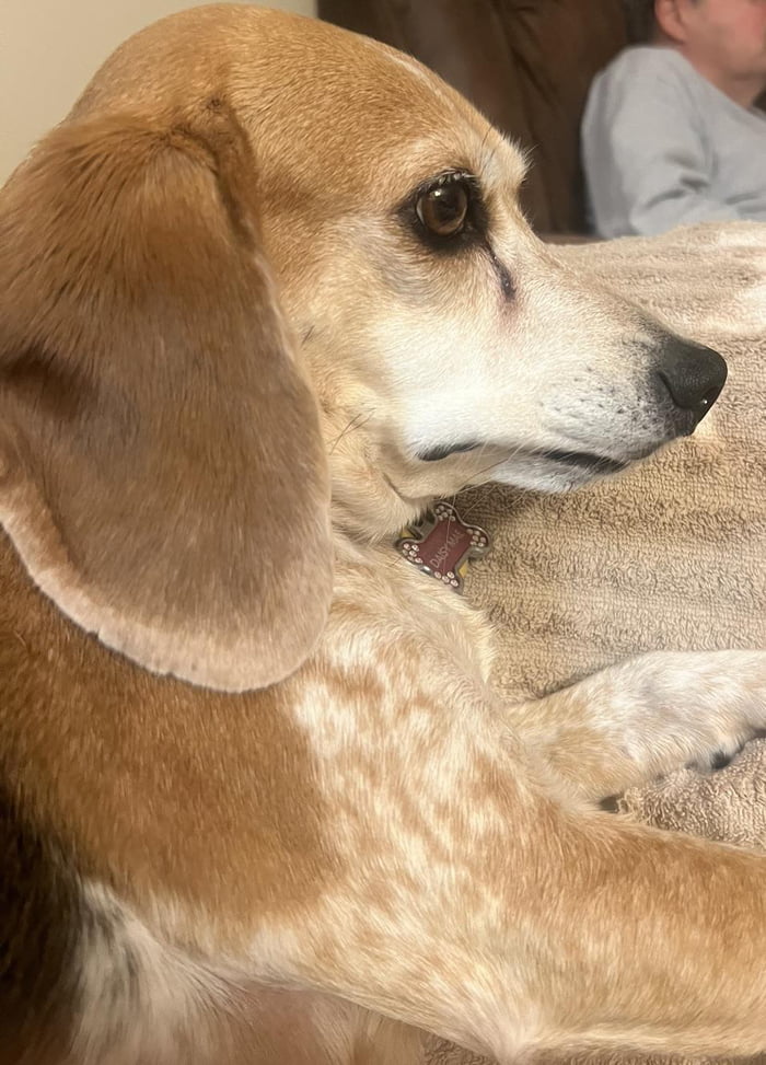 Not enough belly rubs in this PRISON - 9GAG