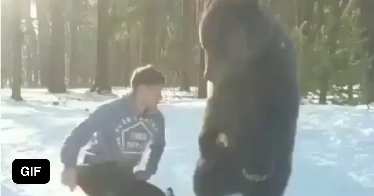 A friendly bear - 9GAG