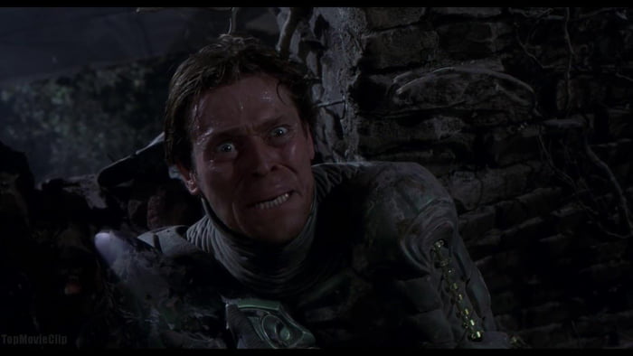 During the ending of this fight, when Goblin was asking Peter to save ...