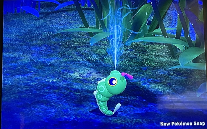 Caterpie used STRING SHOT! (First 4 star photo) - 9GAG