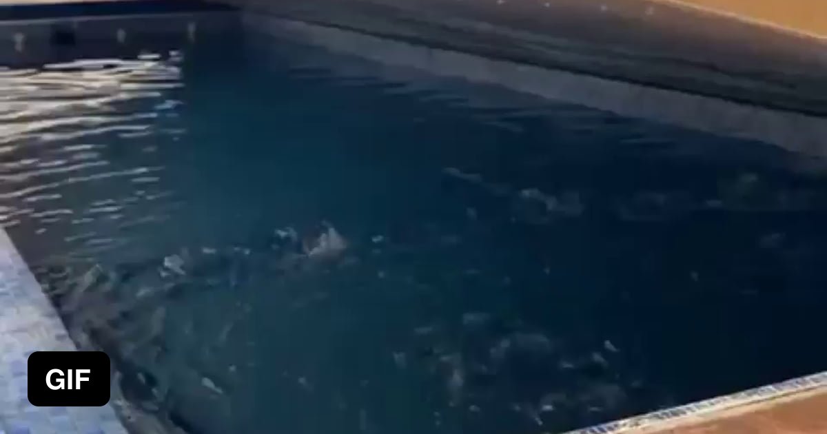 This Hidden Pool - 9GAG