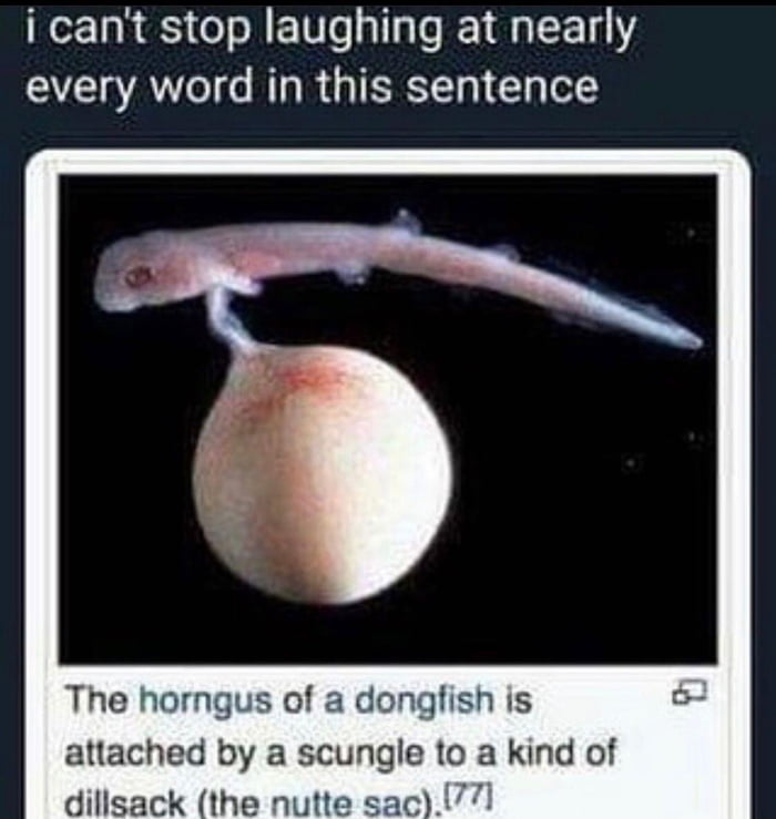 Childish humour - 9GAG