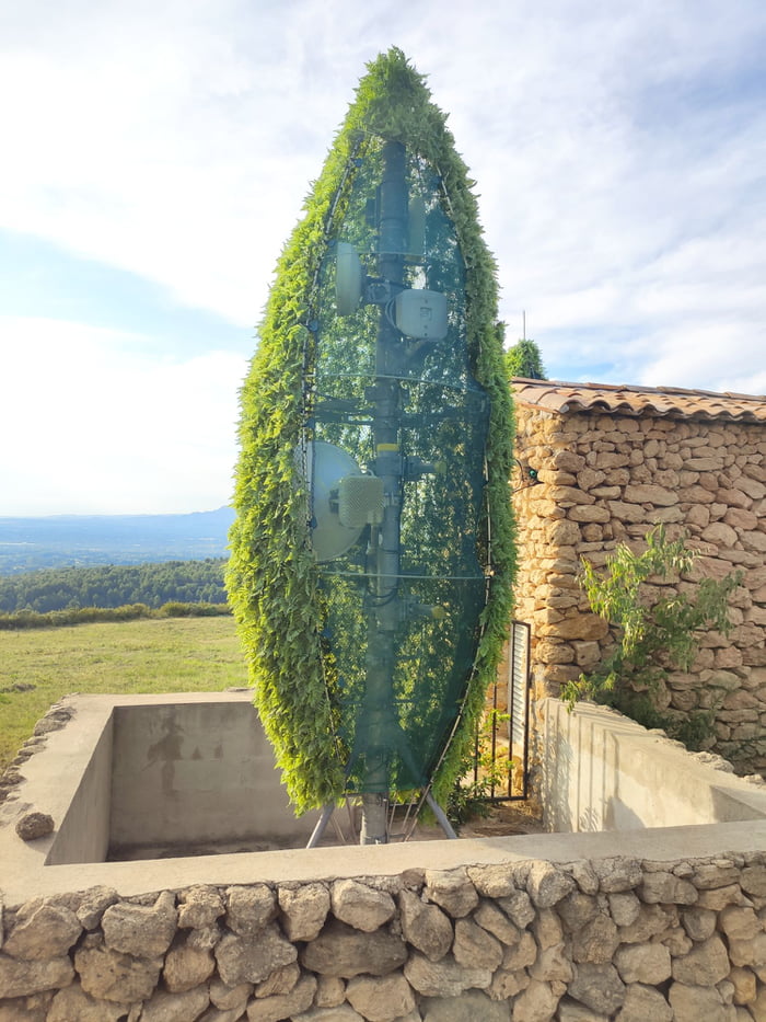 How do you fellow tree ? - 9GAG