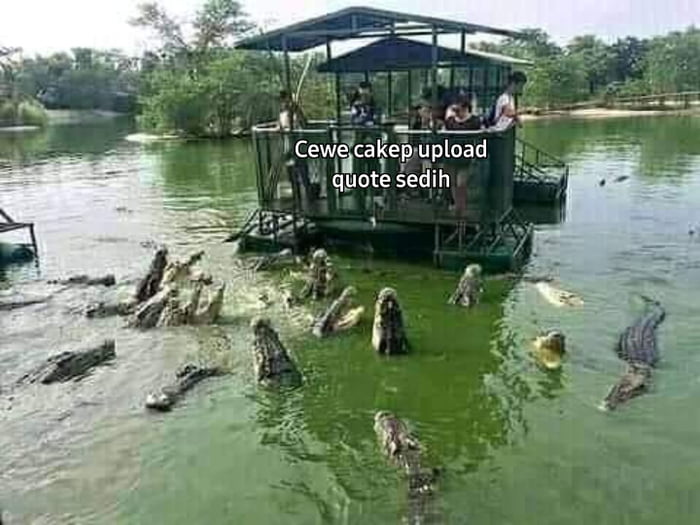 Mancing mania mantap - 9GAG