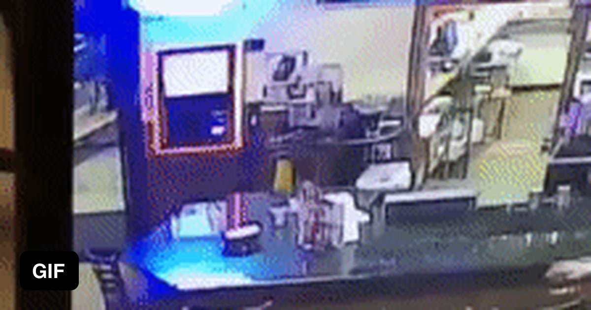 Trying to smack the food out of his hand - 9GAG