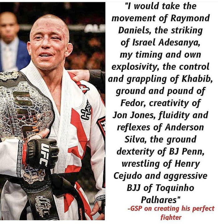 GSP on his perfect fighter - 9GAG
