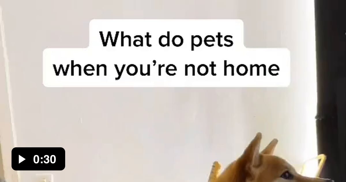 What they do !? - 9GAG