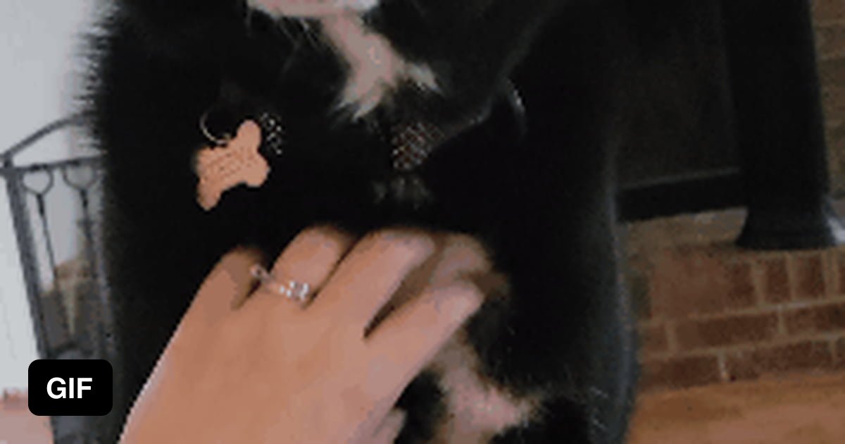 Yes touchy touchy - 9GAG