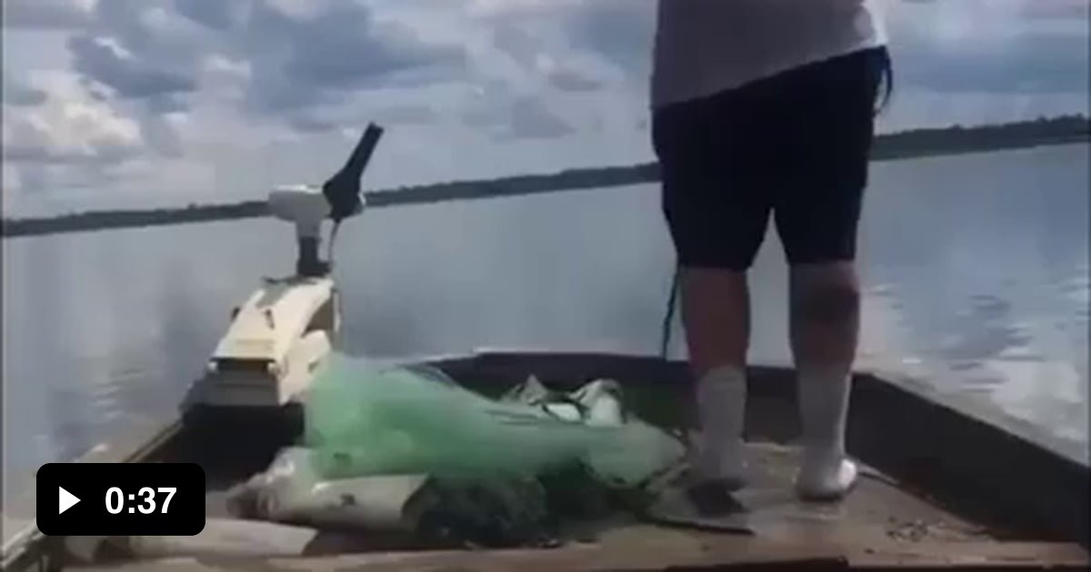 The art of cast net throwing - 9GAG