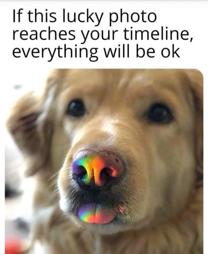 Is this necessary? - 9GAG