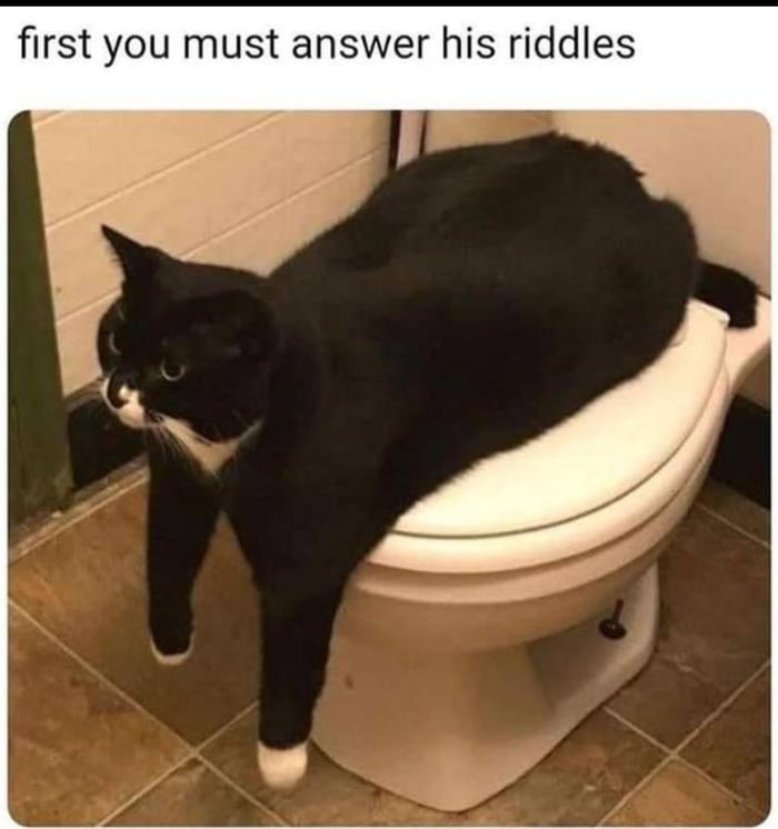 Answer a riddle to get to piddle - 9GAG