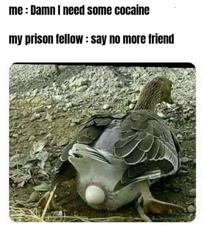 Useless title - 9GAG