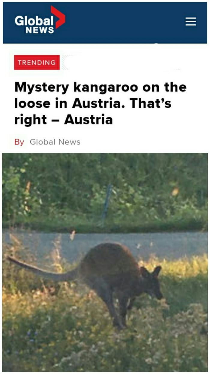 But kangaroos are endemic to Austria. - 9GAG