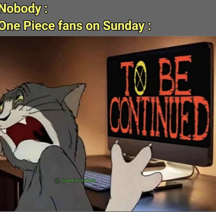 One Piece fans be like.. - 9GAG