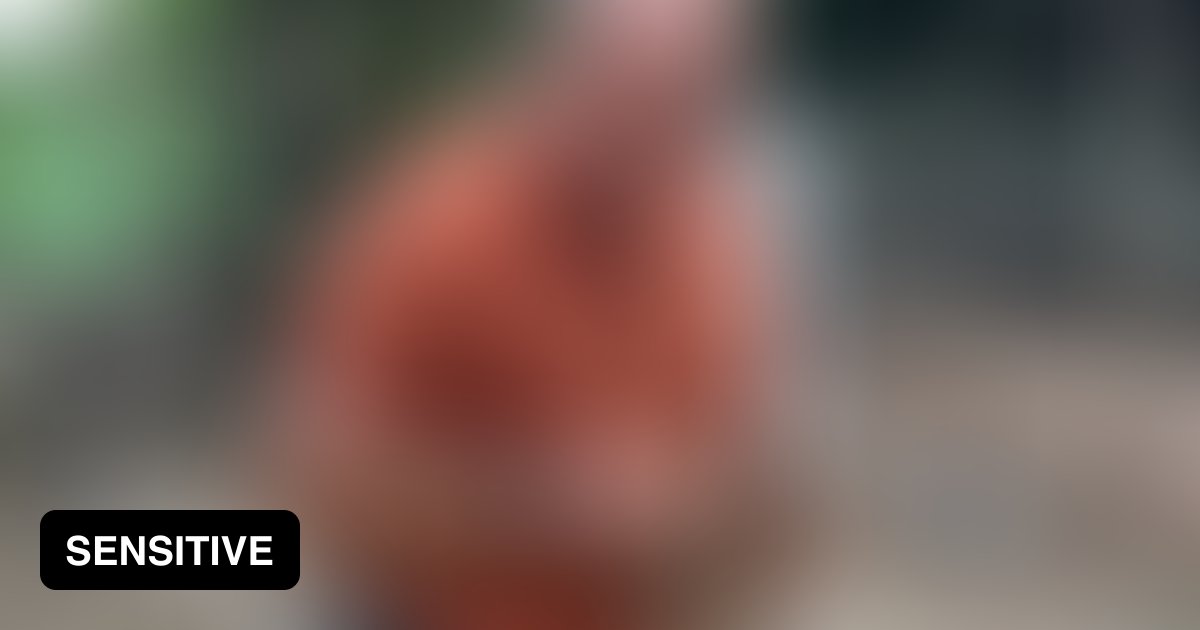 Make Chicken Sleep Fast - 9GAG