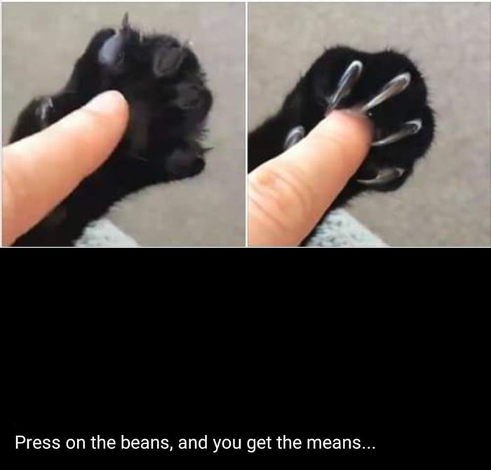 If you press the beans you get the means - 9GAG