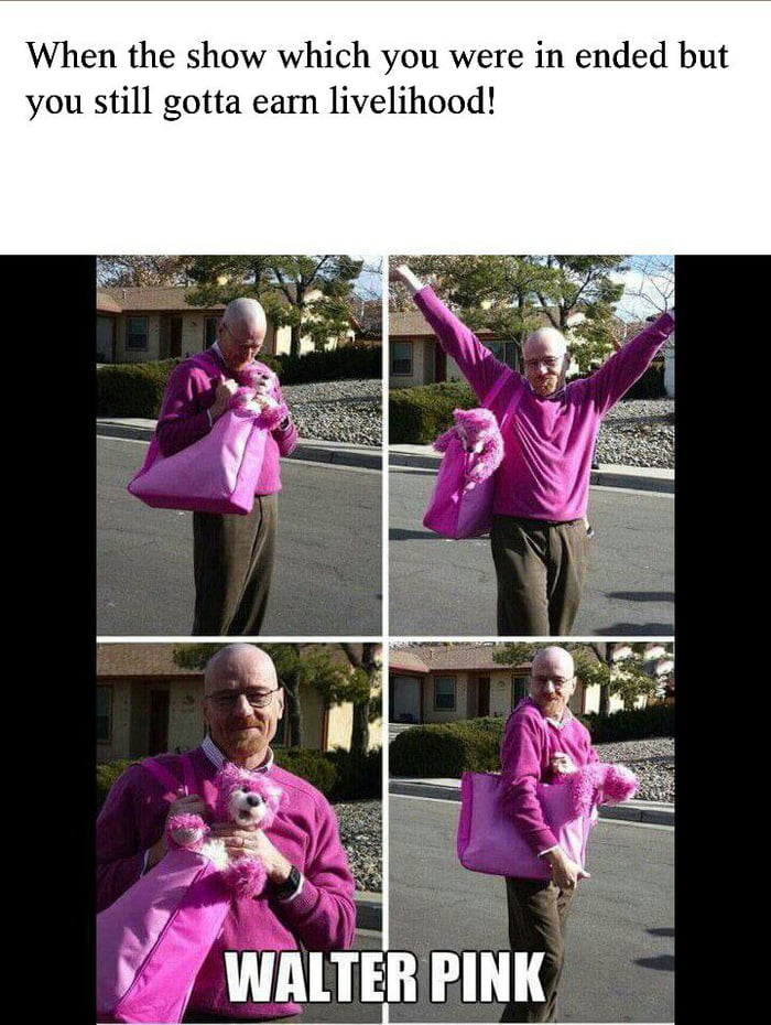 Ladies and gentlemen, I present you, The Walter Pink. - 9GAG