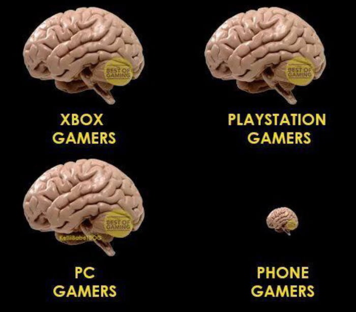 The size of gamer brains - 9GAG